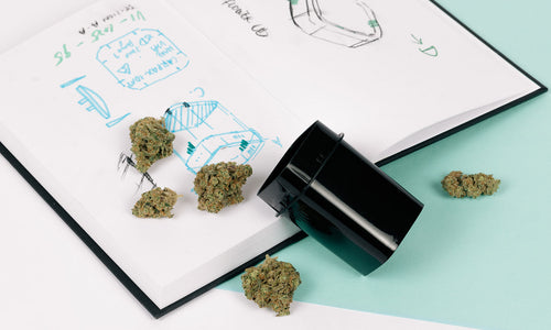 Calyx Cannabis Packaging Catalog