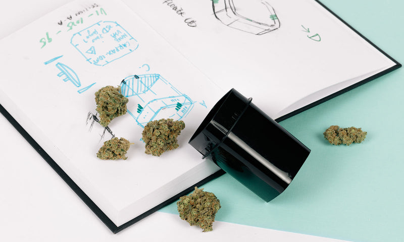 Calyx Cannabis Packaging Catalog